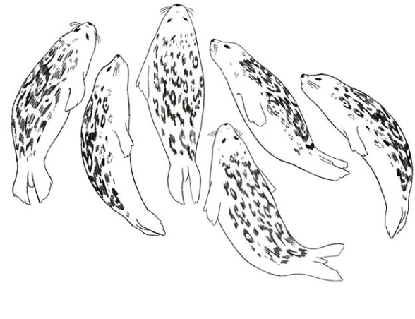 Interview with Emerging Artist Dayle Kubluitok