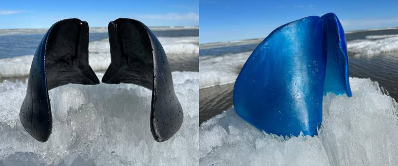 Maureen Gruben Brings Caribou Hoof Mural to Onsite Gallery